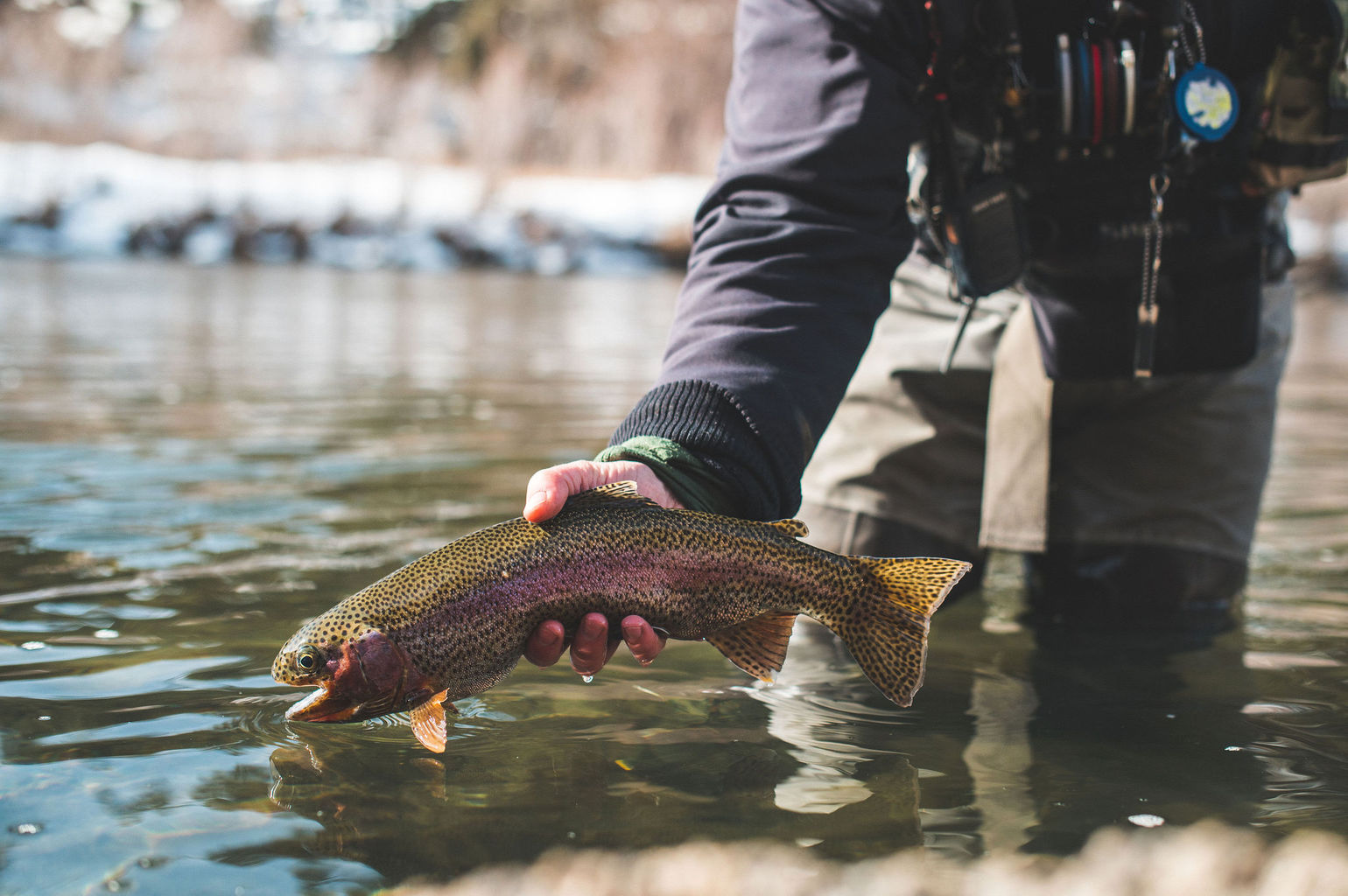 Nymphing Flies to Trout in the Spring – The Fly Crate