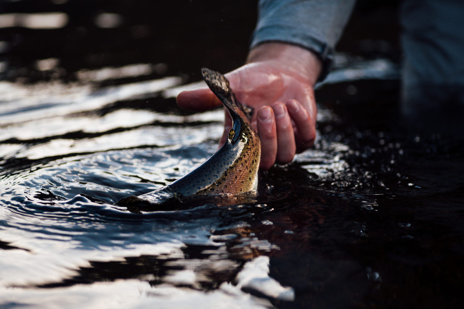 3 Hopper Tactics to Catch More Trout – The Fly Crate