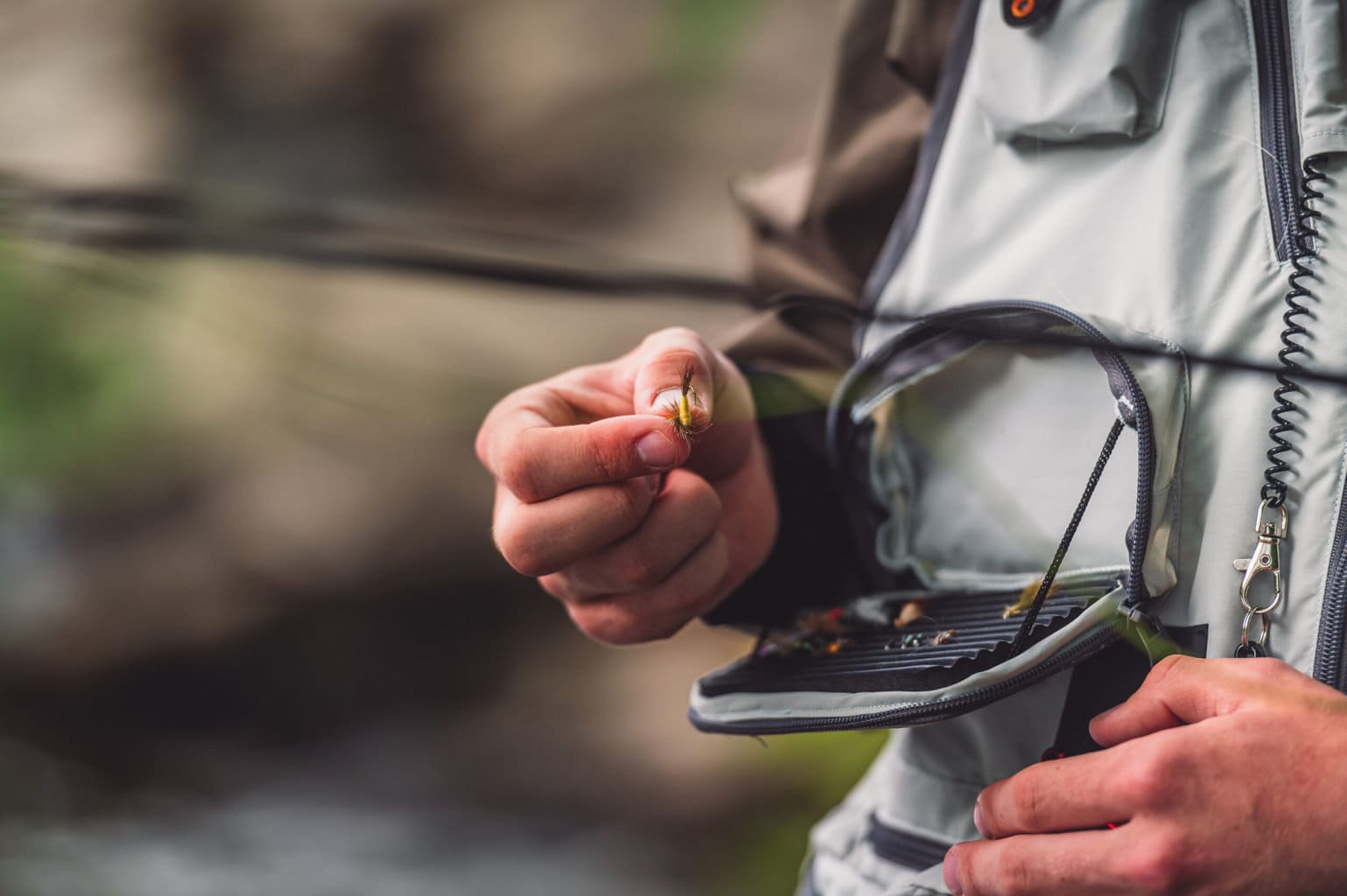 Dry Fly Fishing: Everything You Need To Know About Dry Flies – The Fly ...
