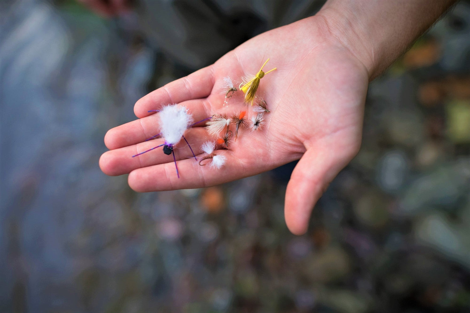 24 Best Dry Flies for Trout Fly Fishing – The Fly Crate