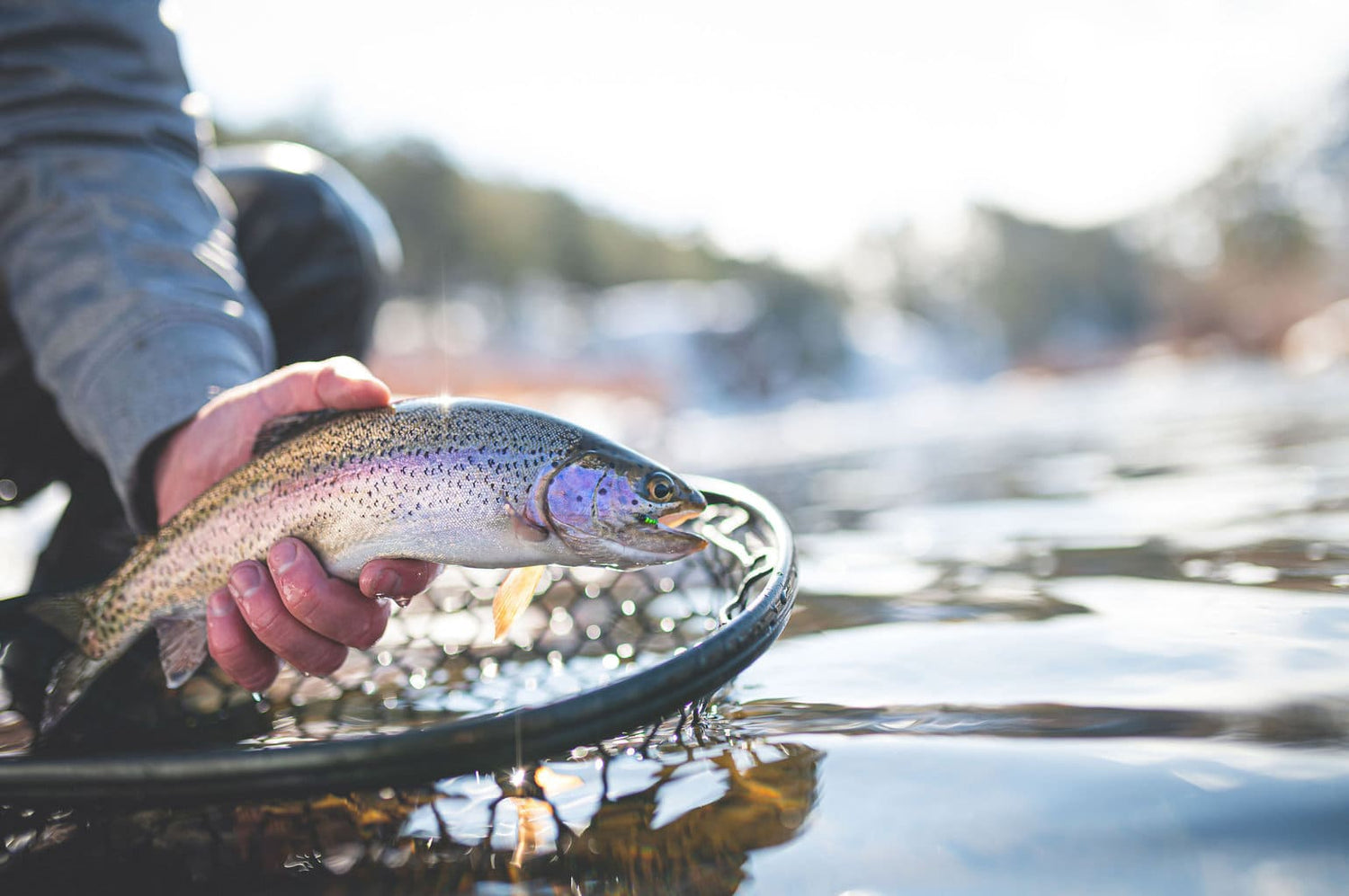 How To Fly Fish in March and Early Spring Time – The Fly Crate