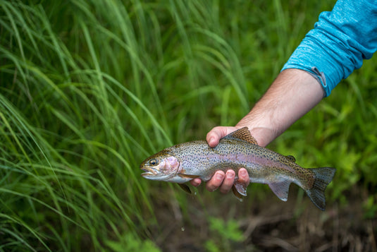 12 Best Streamer Flies for Fly Fishing And How To Fish Them – The Fly Crate