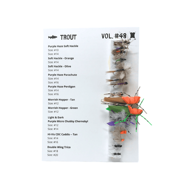 Fly Fishing Flies Assortment / Fly Packs - The Fly Crate