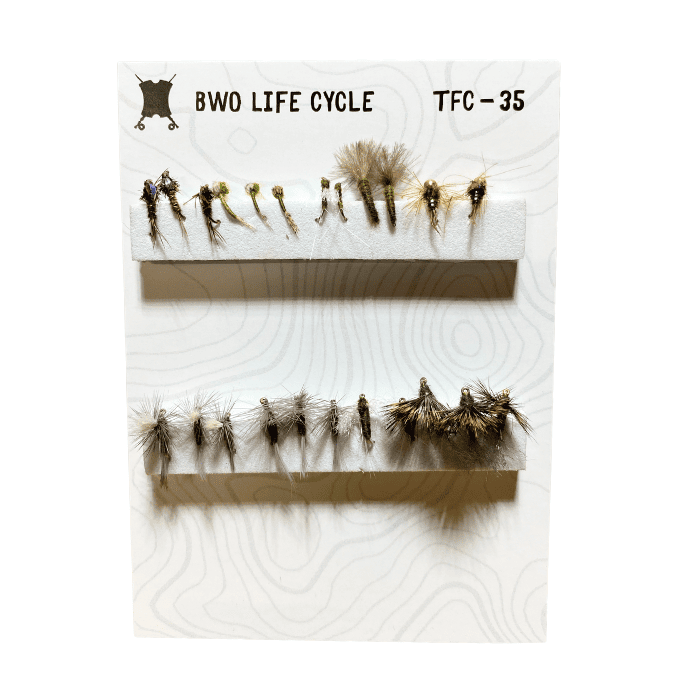 Blue-Winged Olive Lifecycle Assortment – The Fly Crate