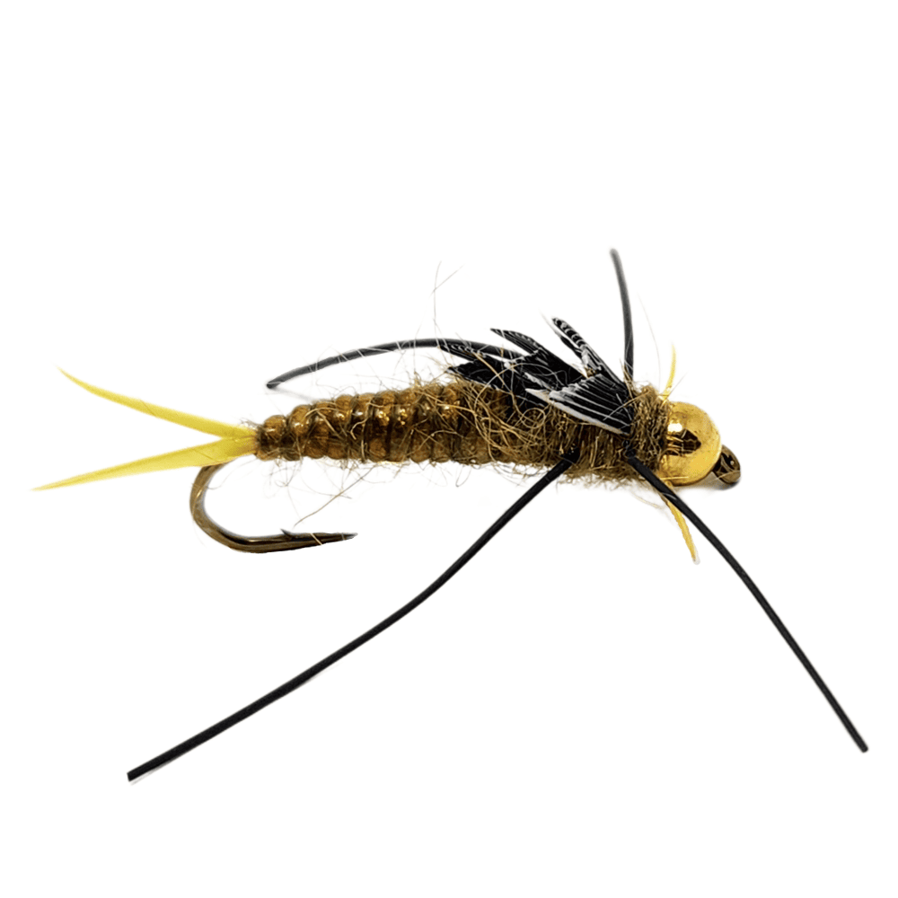 Bead Head Rubberleg Stone Nymph – The Fly Crate
