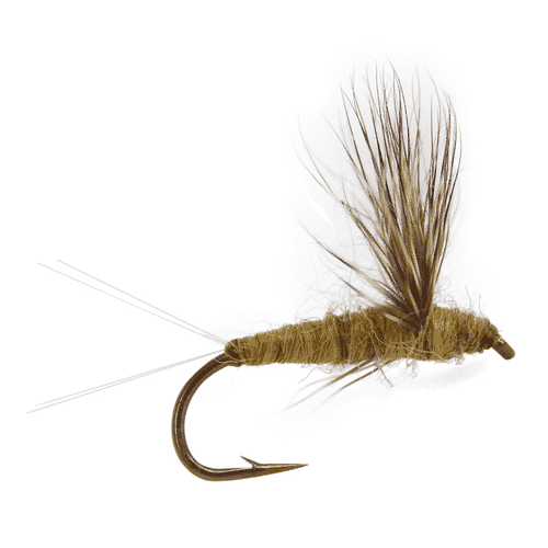 Blue Wing Olive Compara-Dun – The Fly Crate