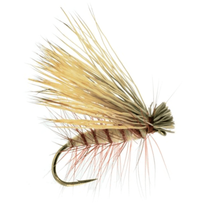 Caddis Fly Patterns For Fly Fishing - The Fly Crate