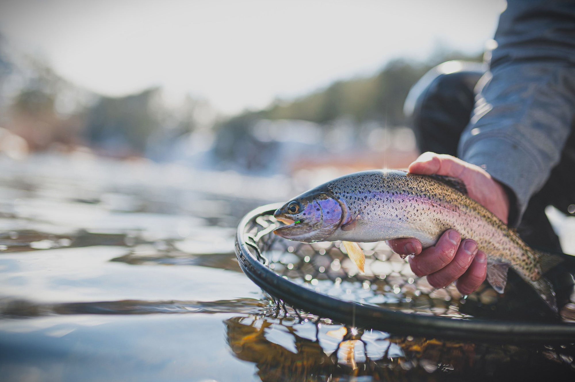 The Fly Crate: Online Fly Shop & Fly Fishing Subscription Box