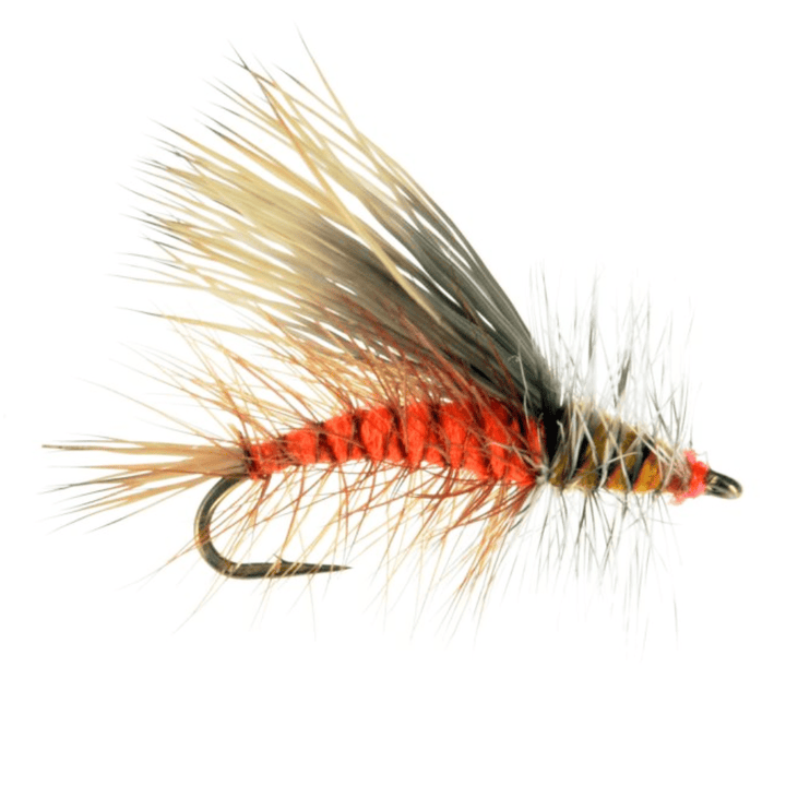 Best Attractor Fly Fishing Flies For Trout - The Fly Crate