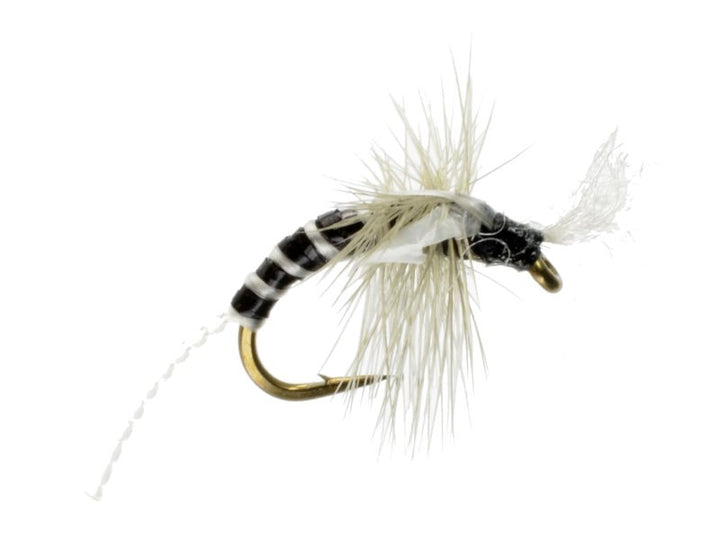 New Releases – The Fly Crate