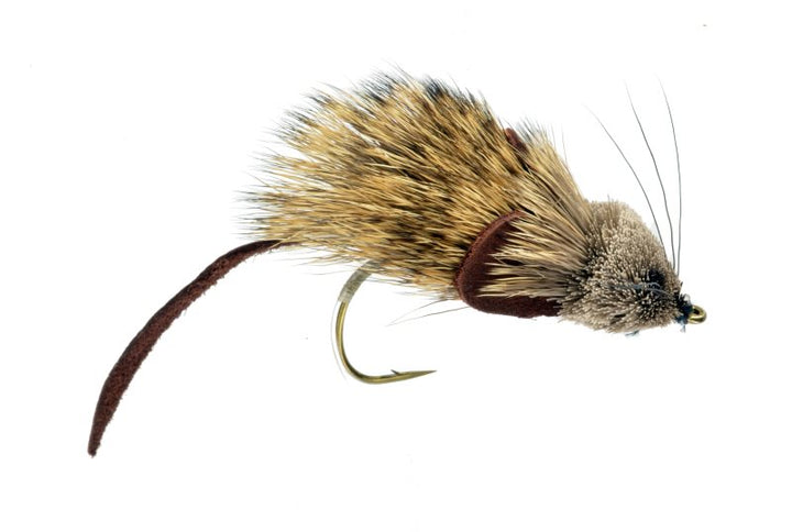 Mouse Flies – The Fly Crate